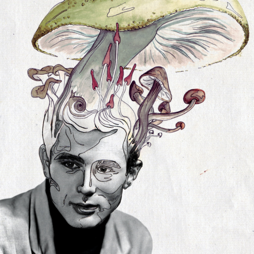 aliza razell | Creative Commission